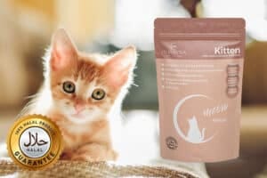 100% Halal Pet Food | Premium Halal Cat Food | Hurayra Pet Food