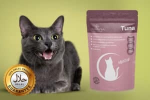 Why Halal Pet Food? | Premium Halal Cat Food | Hurayra Pet Food