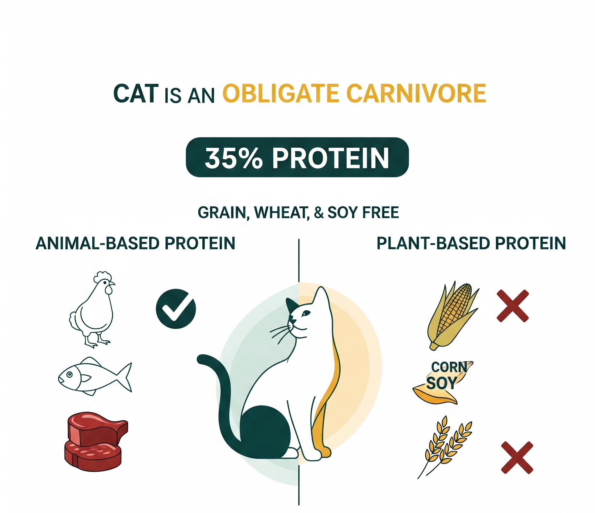 Soy-Free Cat Food: Why Soy Is a Problem and What to Feed Instead